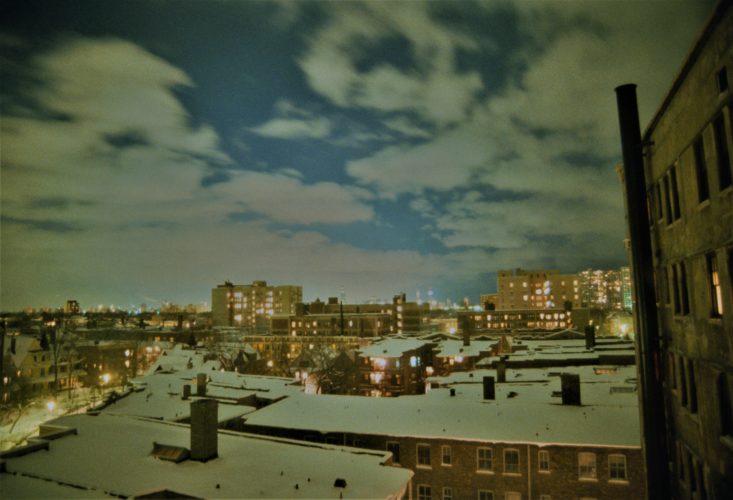 Lydia Collins Photography Portfolio