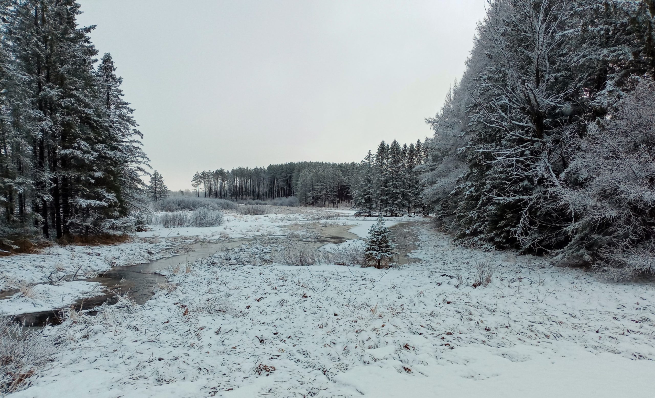 Lydia Collins Photography Portfolio