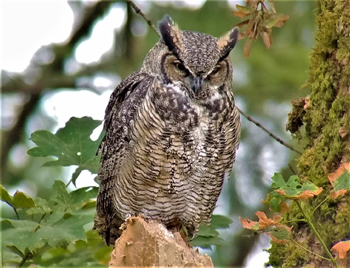 Photo Gallery - Lydia Collins - Photography